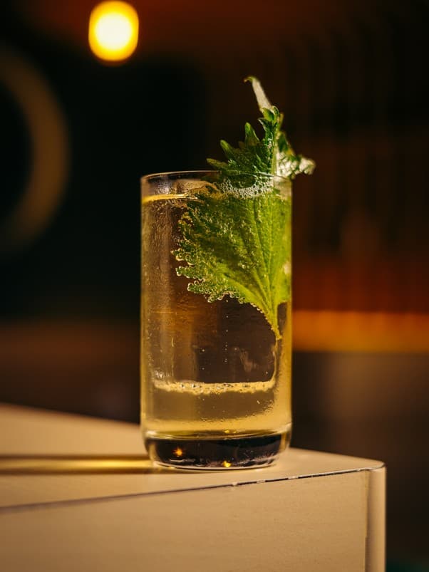 Tell Camellia | Tea-Inspired Cocktail Bar